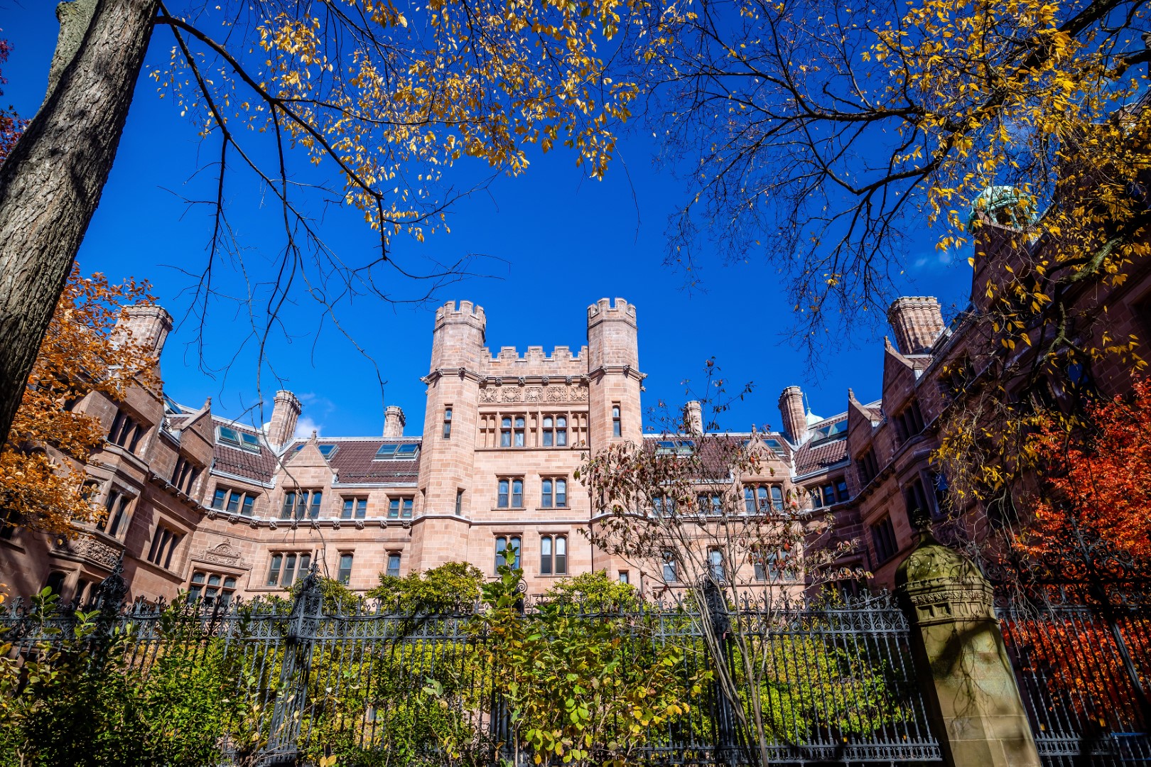 Total Wireless Dealer Supports in Connecticut - Pinnacle Mobility